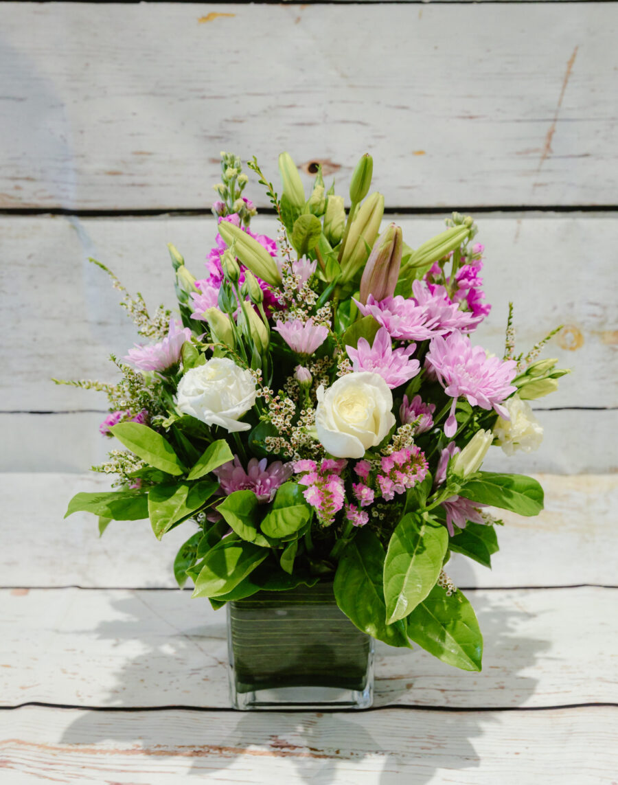 Harmony - Flower Daise