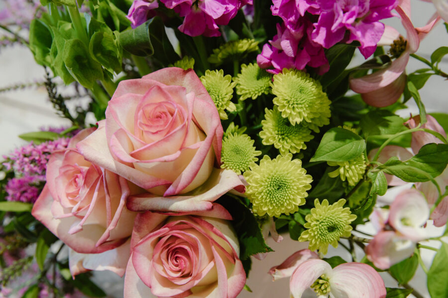 Enchanted Pastels - Flower Daise